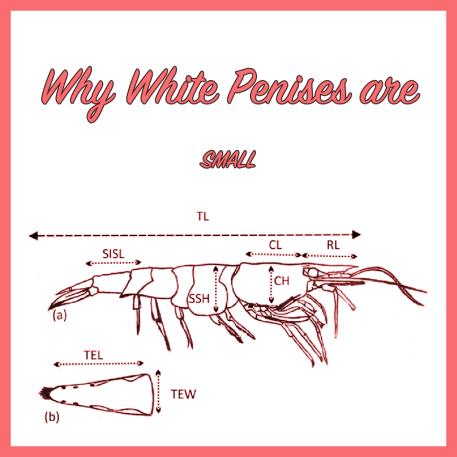 Why White Penises Are Small - The Godwitch Elixa Starlight Official ...