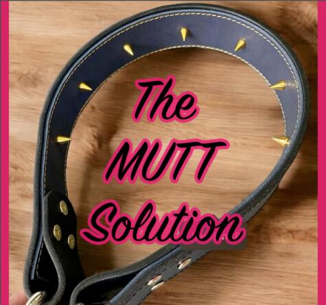 The MUTT Solution - The Godwitch Elixa Starlight Official Audio Store ...