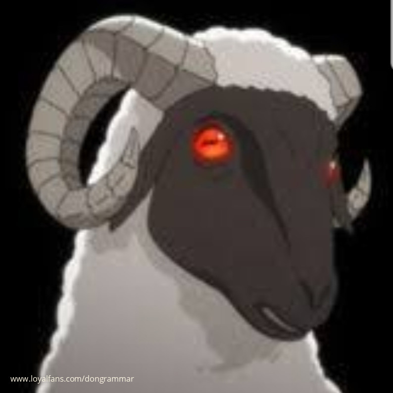 Don Grammar’s Official Social Fan Page | LoyalFans