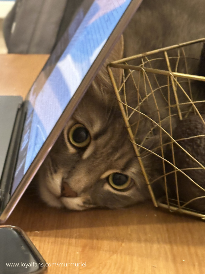 Murmuriel’s Official Social Fan Page | LoyalFans