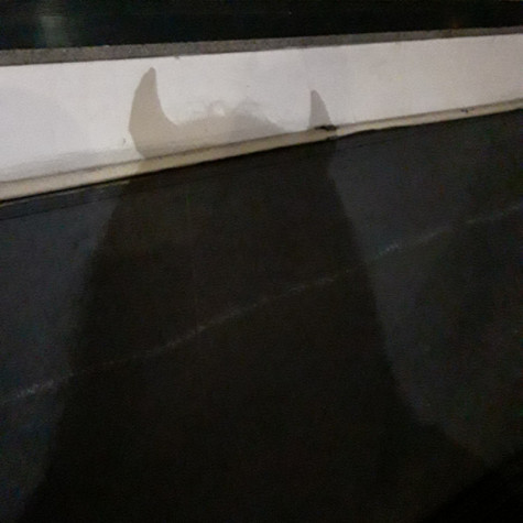 Evilynn Inferno’s Official Social Fan Page | LoyalFans