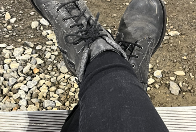 Boot lickers - Carnivore queen Official Photos | LoyalFans