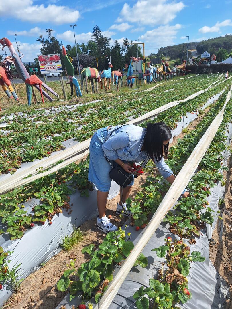 Mia Cara’s Official Social Fan Page | LoyalFans