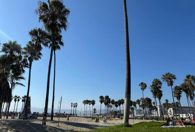 Venice Beach ☀️ - Goddess Vamp Femdom Findom Fetish Official Photos ...