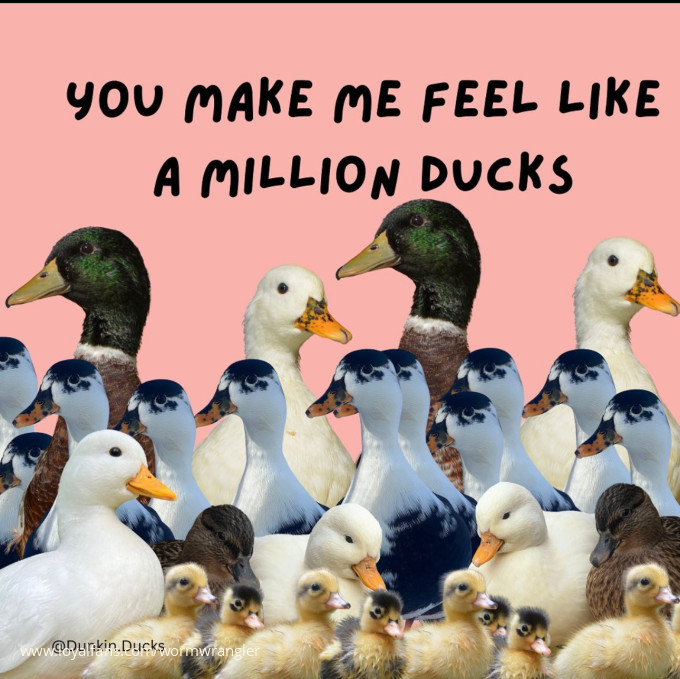 Worm Wrangler Femdom’s Official Social Fan Page | LoyalFans