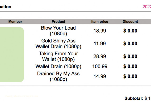 Wallet drain guy is back with another order! - PayPrincess Findom And ...