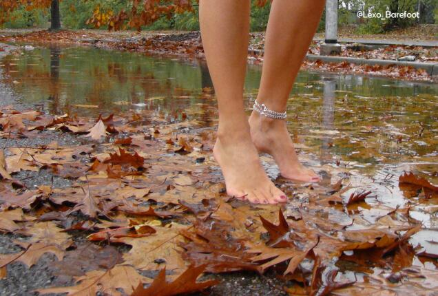 Fall Contest - Lexoweb Official Photos | LoyalFans