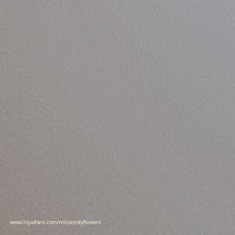 Miss Emily Flowers’s Official Social Fan Page | LoyalFans