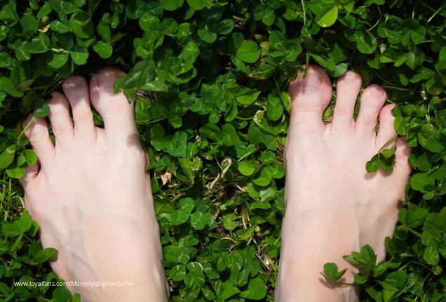 Beautiful Roses, aren't they? - Mommys Big Feet Official Photos | www ...