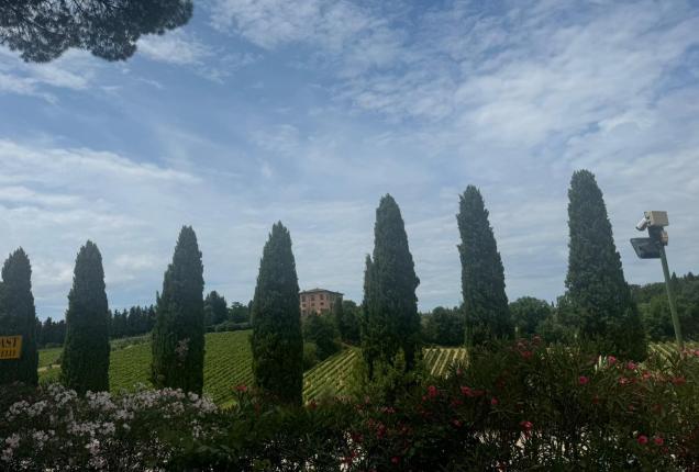 What's there not to love about the summer? - Ashley Welse Official ...