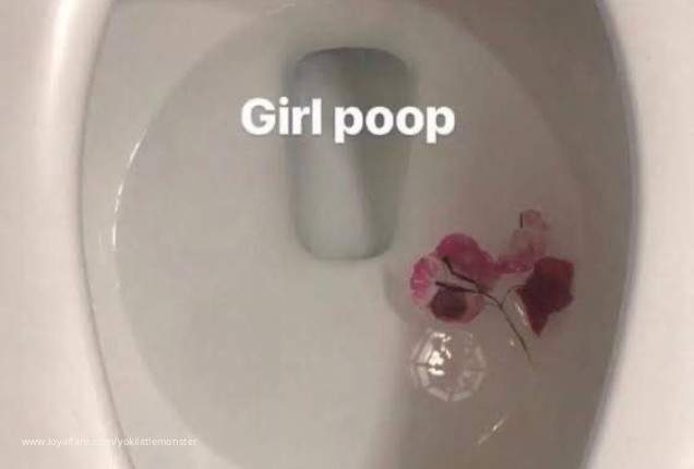 THE GIRLS ARE POOPING FLOWERS AND PUK*** RAINBOWS. - PARADOXYOKA ...