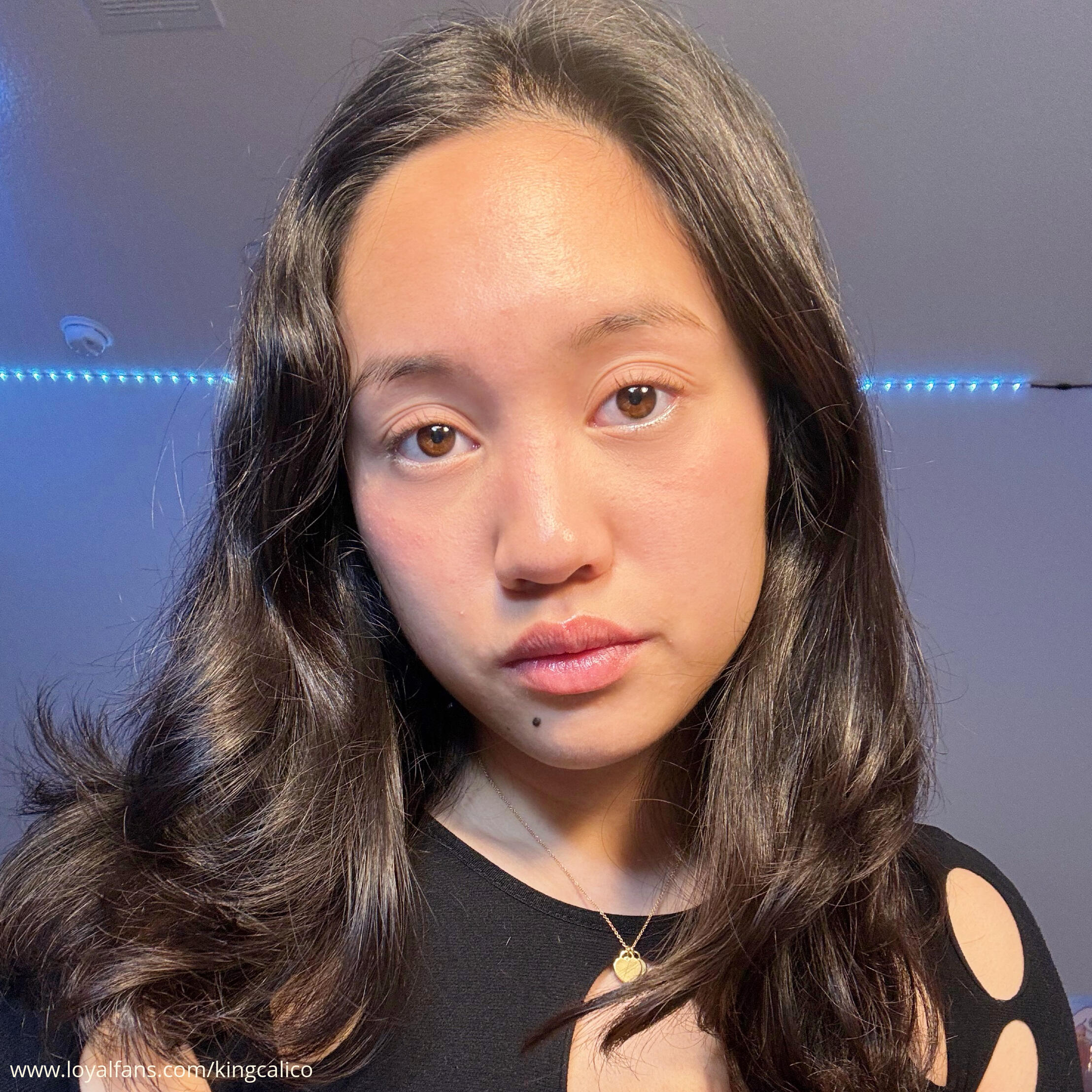 King Calico's videos and clips | Official account | LoyalFans