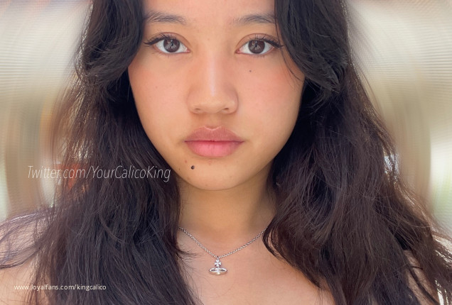 Wallet drainer, simp collector, father figure - King Calico Official ...