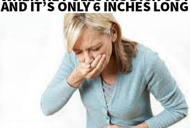 SPH Meme of the Day! - StacySizeQueen SPH Official Photos | LoyalFans