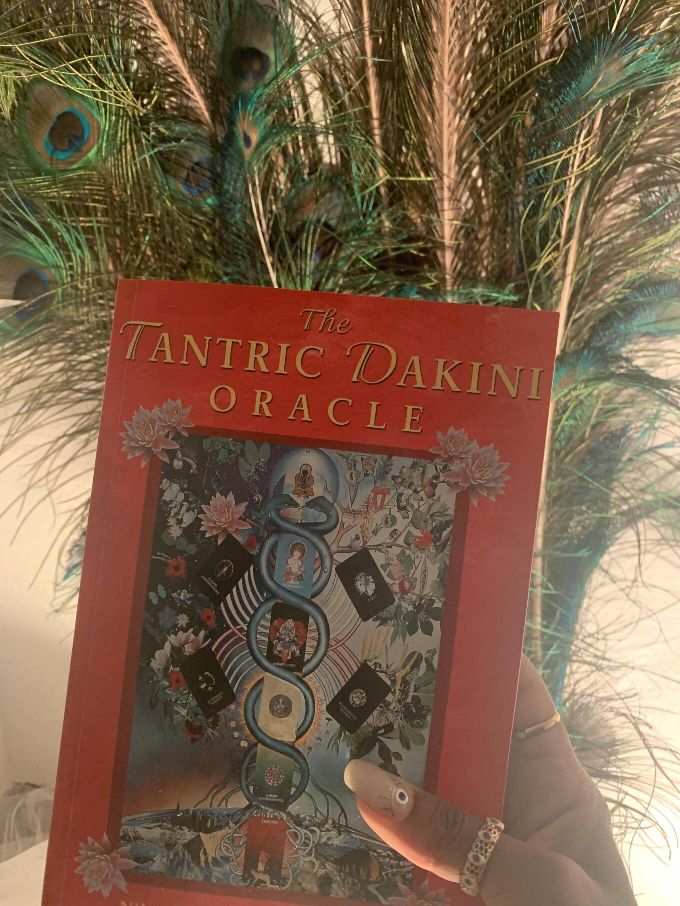 The Godwitch Elixa Starlight’s Official Social Fan Page | LoyalFans