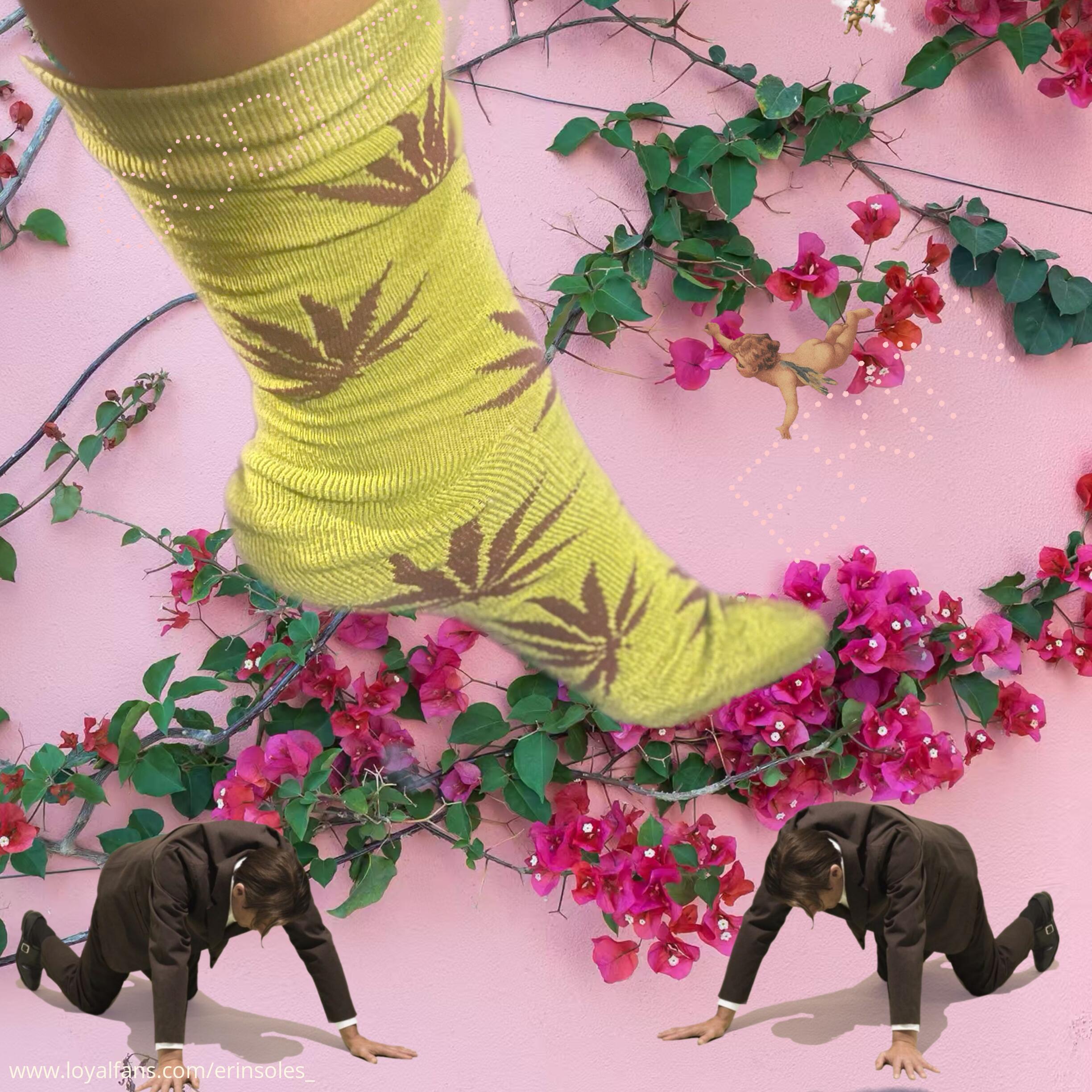 Goddess Erin Soles’s Official Social Fan Page | LoyalFans