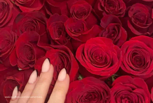 🌹 love roses - DianaShermans Official Photos | www.Loyalfans.com