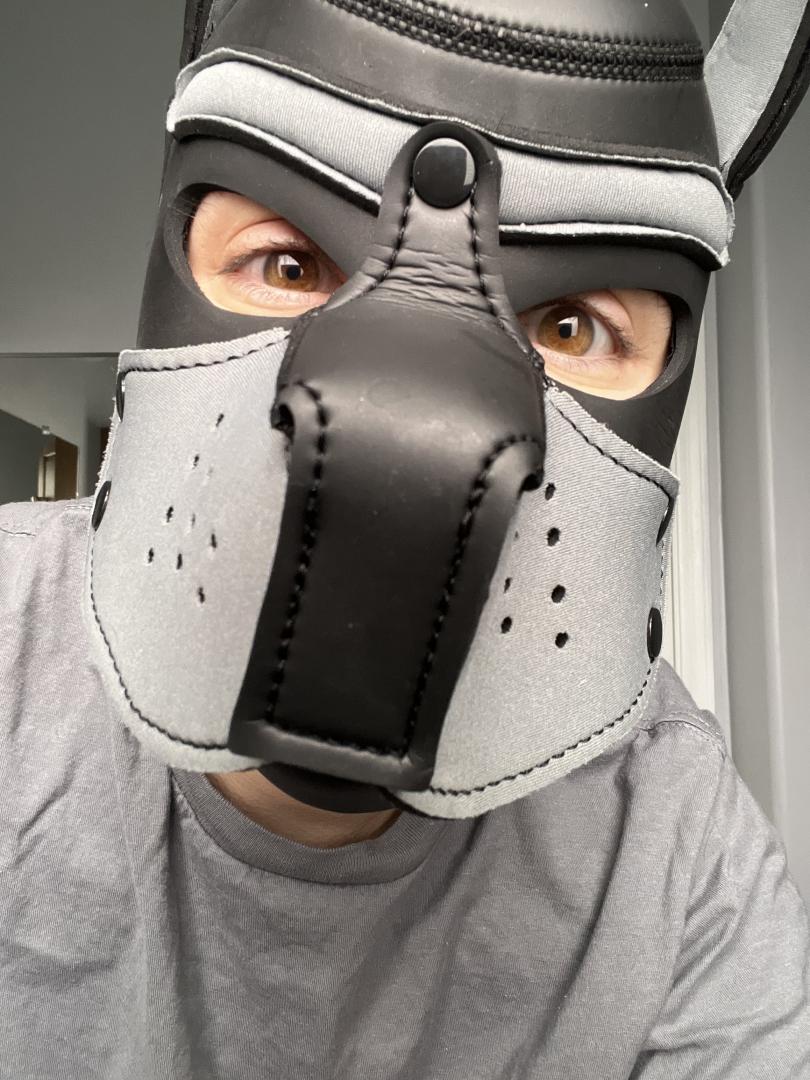 Boxie’s Official Social Fan Page | LoyalFans