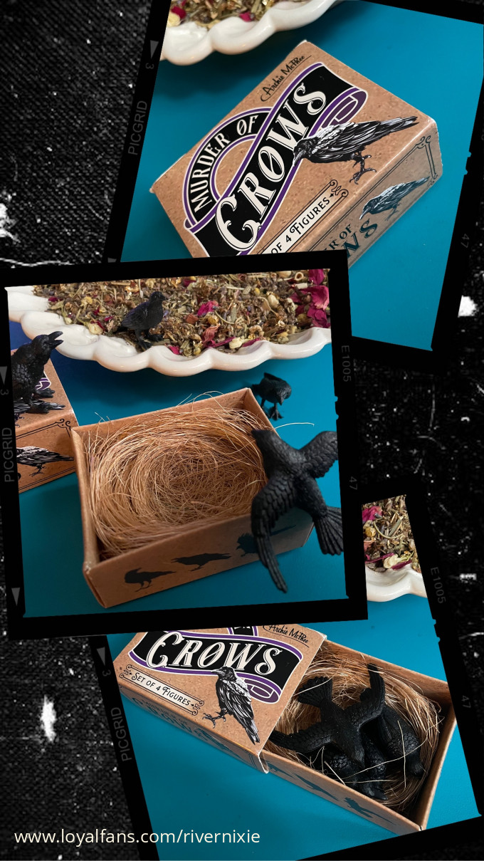 River Nixie’s Official Social Fan Page | LoyalFans