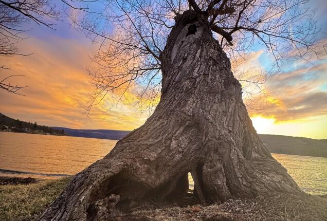 Fall through the portal and into My world - River Nixie The Entrancing ...