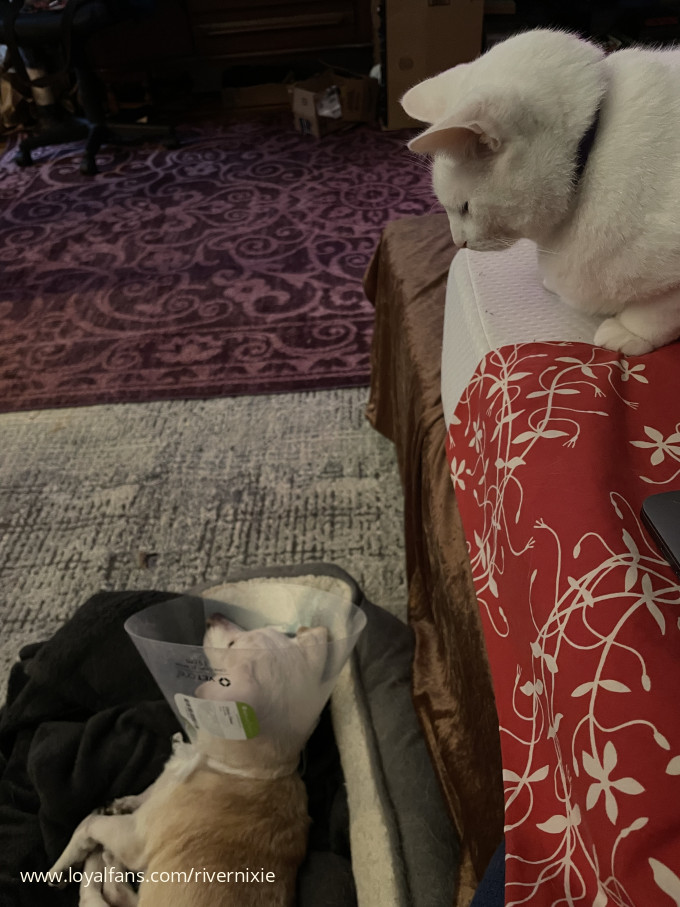 A peek at My weekend - River Nixie Official Photos | www.Loyalfans.com