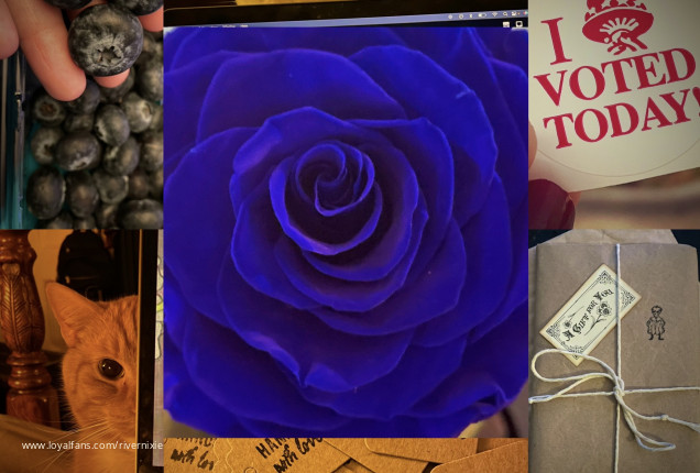 Cats bein’ creeps (and other magical things) - River Nixie The ...