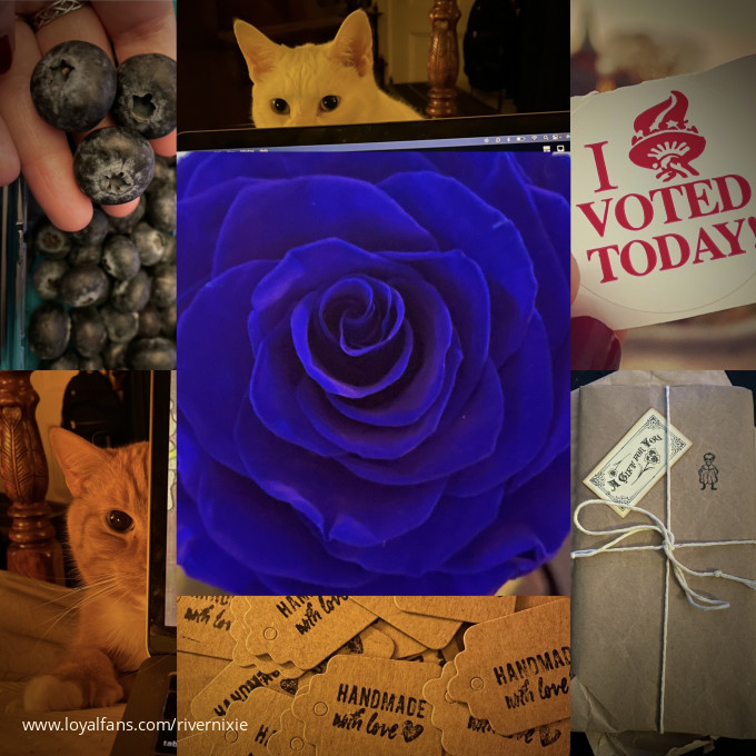 Cats bein’ creeps (and other magical things) - River Nixie The hypno ...