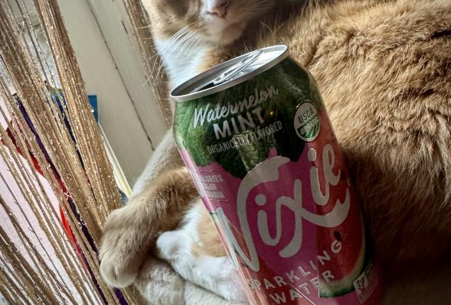 Gratitude and Thanks - River Nixie The Mesmerizing Femdom Goddess ...