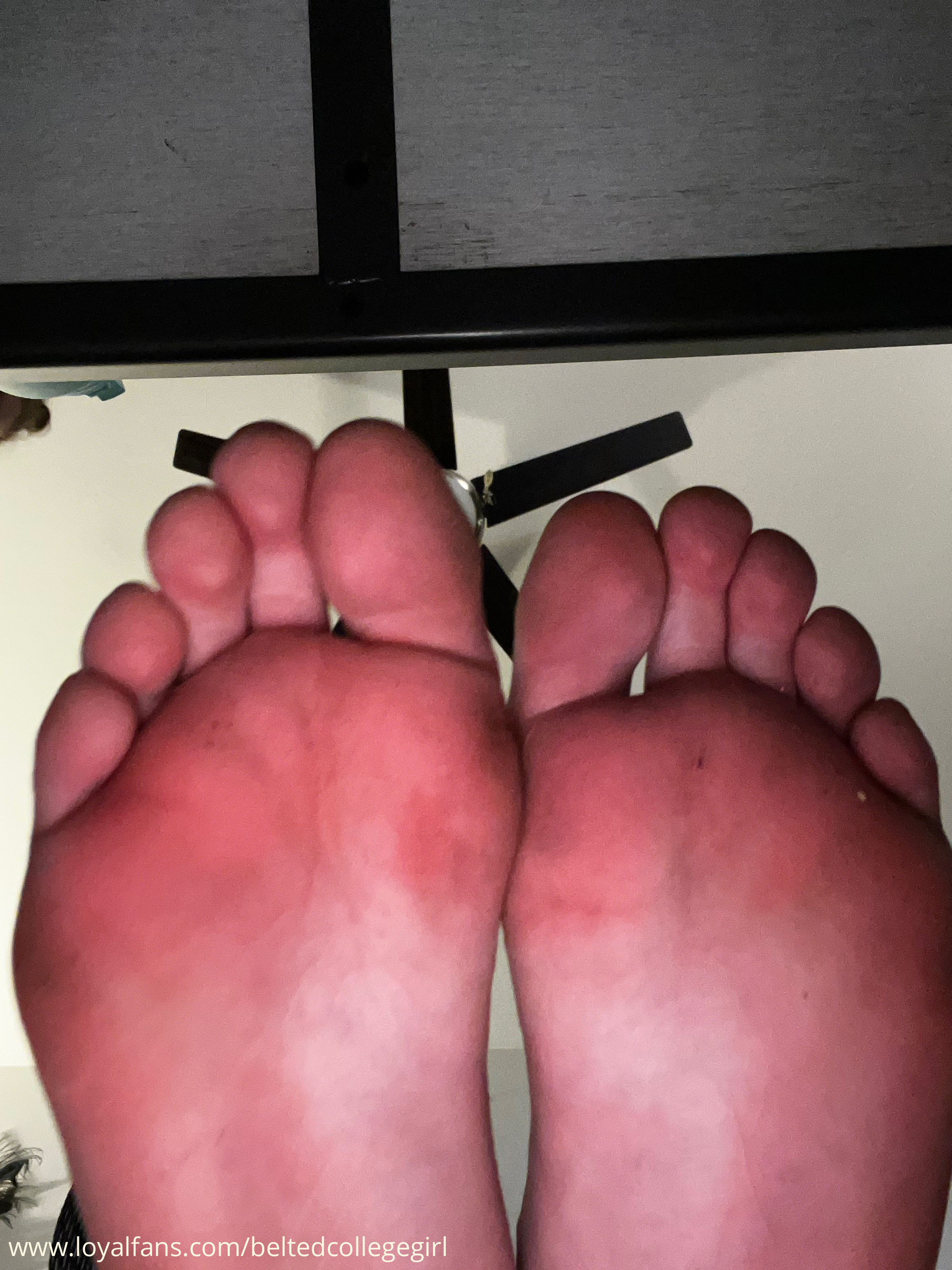 BeltedCollegeGirl's videos and clips | Official account | LoyalFans