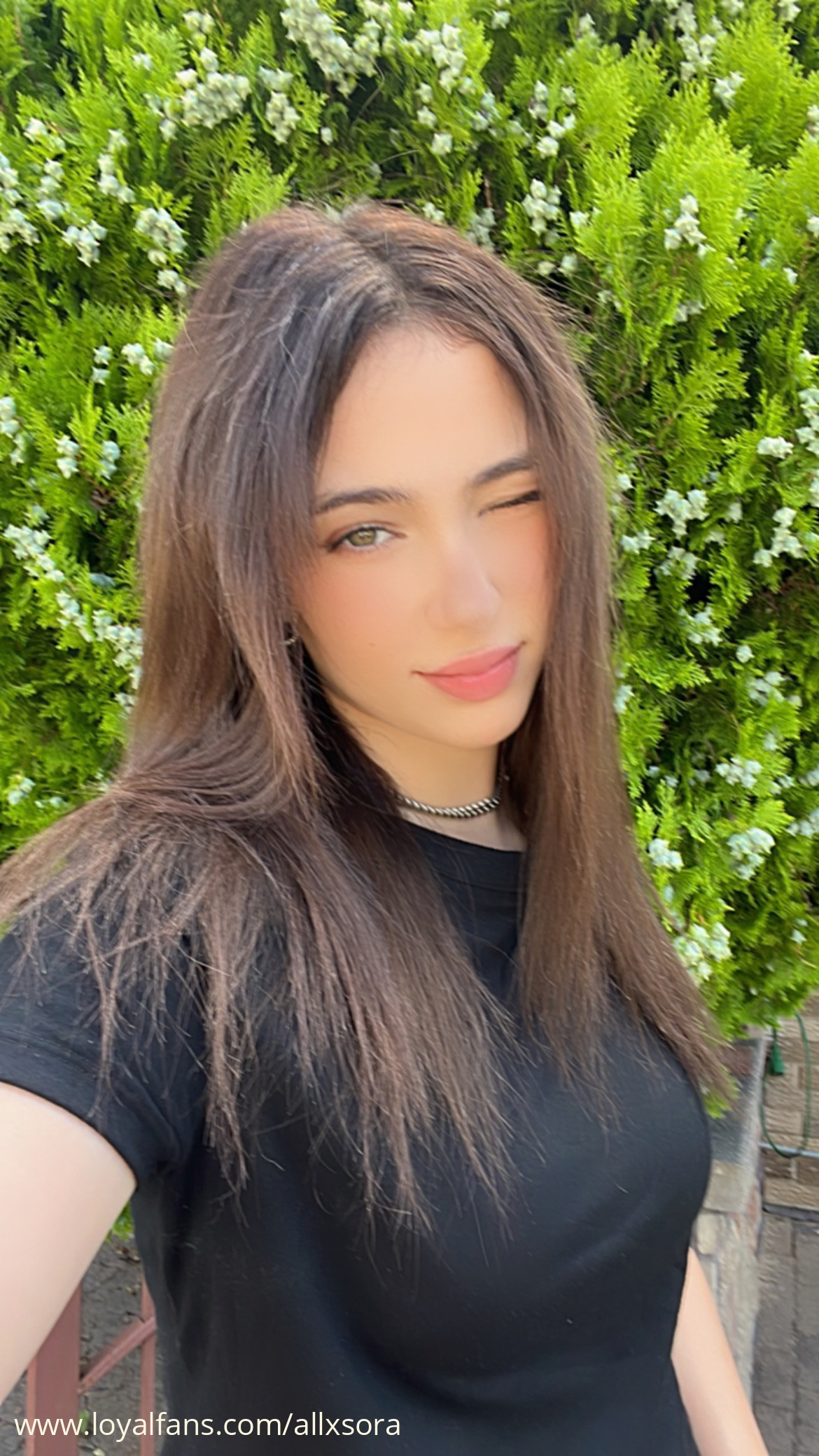 Allx's videos and clips | Official account | LoyalFans