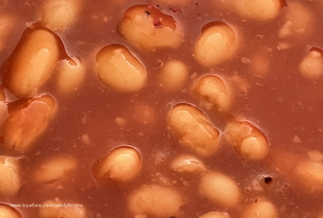 Airy compilation 💨💋 - Windyforyou Official Profile | LoyalFans