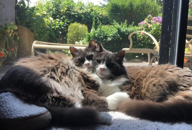 Sad News - Leia Lovelyn Official Photos | www.Loyalfans.com