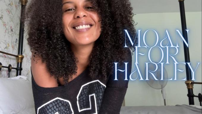 Harley Bee’s Official Social Fan Page | LoyalFans