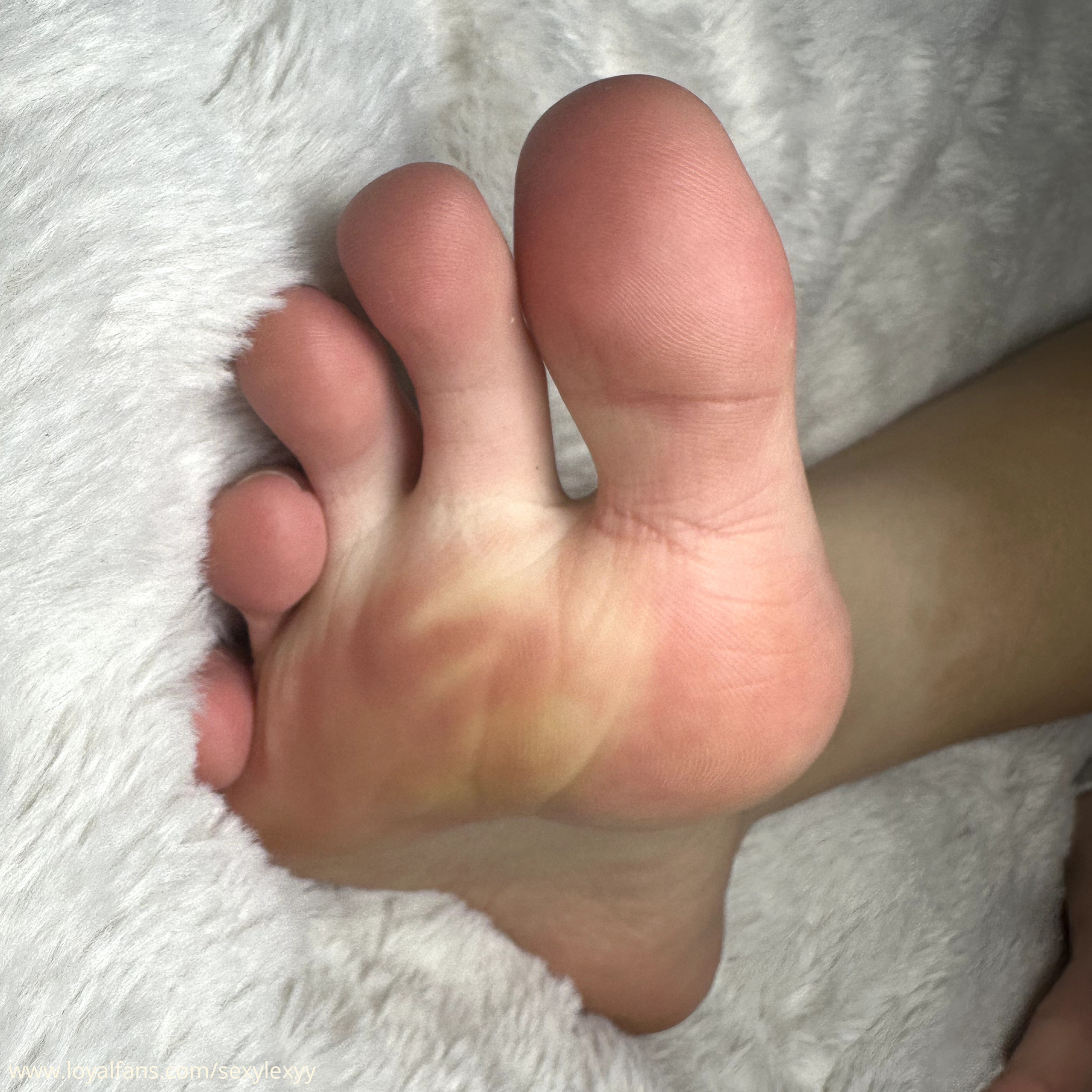 Sexy Goddess Lexy’s Official Social Fan Page | LoyalFans