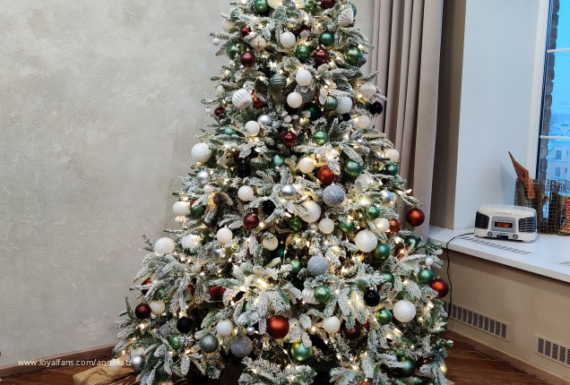 Here is my tree!!🎄 - Anna Katz Official Photos | www.Loyalfans.com