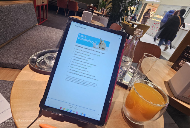 I went to a cafe for lunch, at the same time to study English - Anna ...