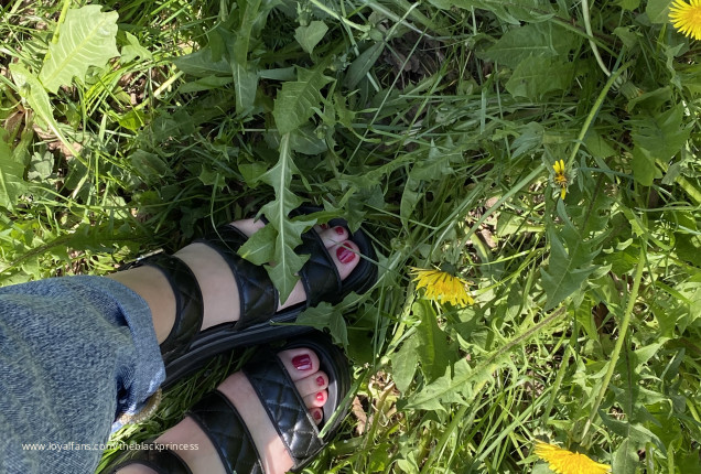 🌞🌞🌞 - The Black Princess Official Photos | LoyalFans