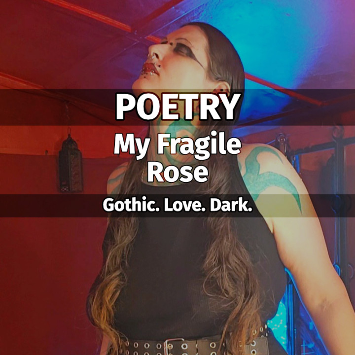 POETRY. My Fragile Rose. GOTHIC. LOVE. DARK. VAMPIRE. - Countess Vines ...