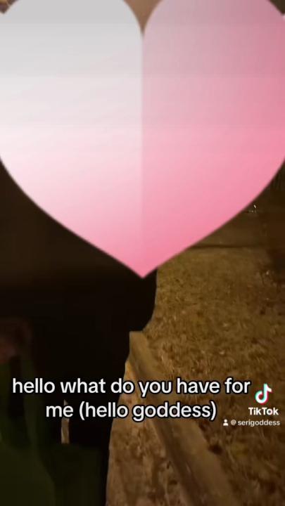 Little skin care pickup and cashmeet - Goddesss Seri Official Profile ...