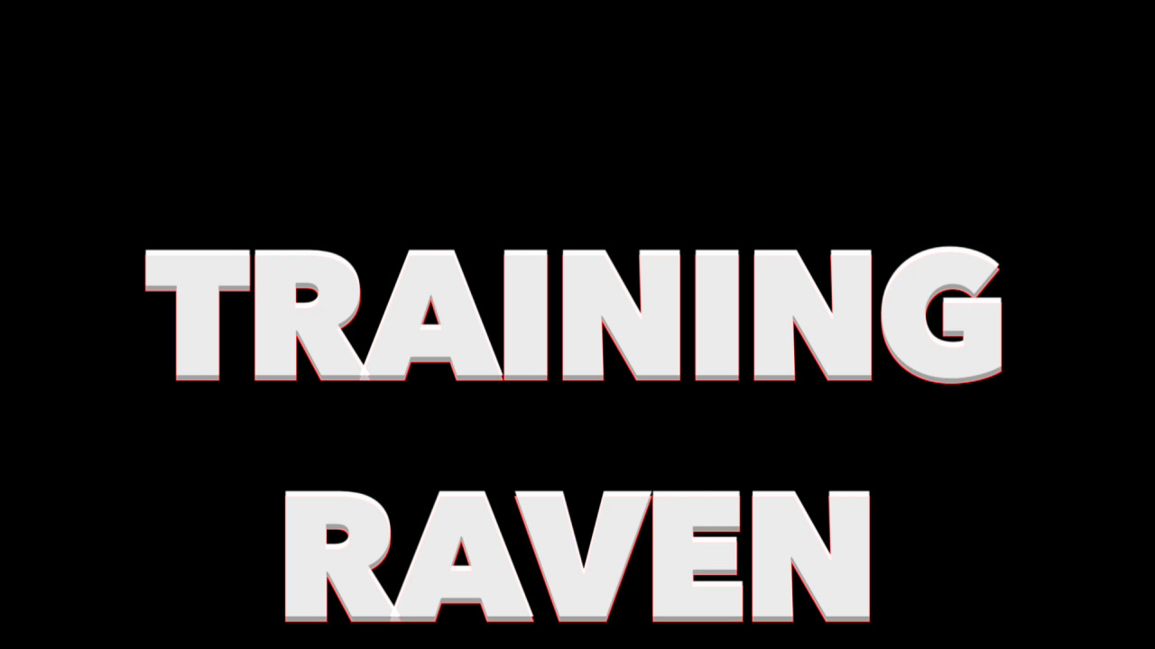 Training Raven - Kimber Haven Official Profile | www.Loyalfans.com
