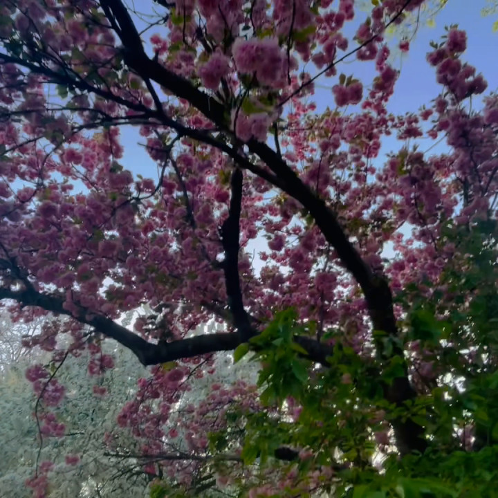 A bit of natural magic - River Nixie The Bewitching Hypno Goddess ...