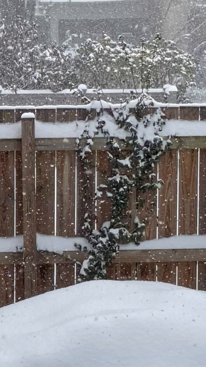 Timeline cleanse with Your Moment of Zen - River Nixie The Bewitching ...